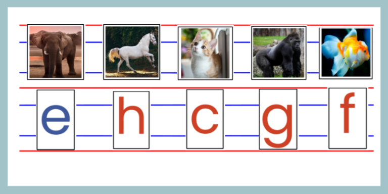 Montessori Phonics Activities Preschool: A Step-by-Step Guide to ...