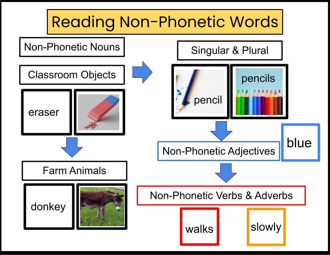 The Illustrated Guide to Montessori Digraphs and Non-phonetic Words ...