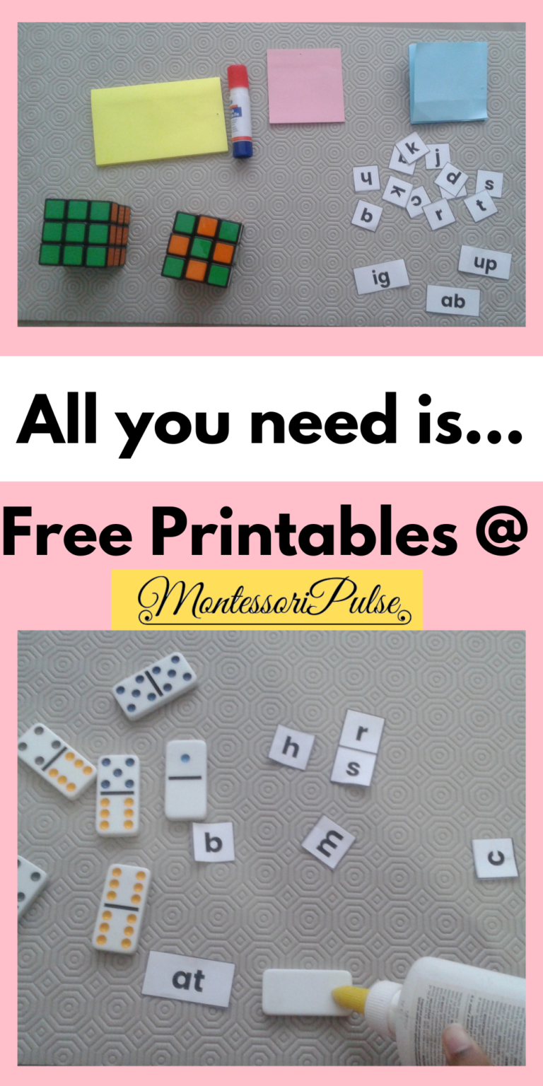 Simple Word Families Activity with Domino Tiles - MontessoriPulse