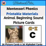 DIY Montessori Materials - Language and Math - MontessoriPulse